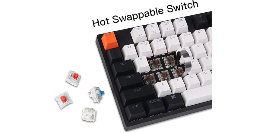 Keychron C2 Wired Mechanical Keyboard