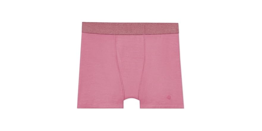 allbirds Men's Boxer Brief (XL & 2XL)