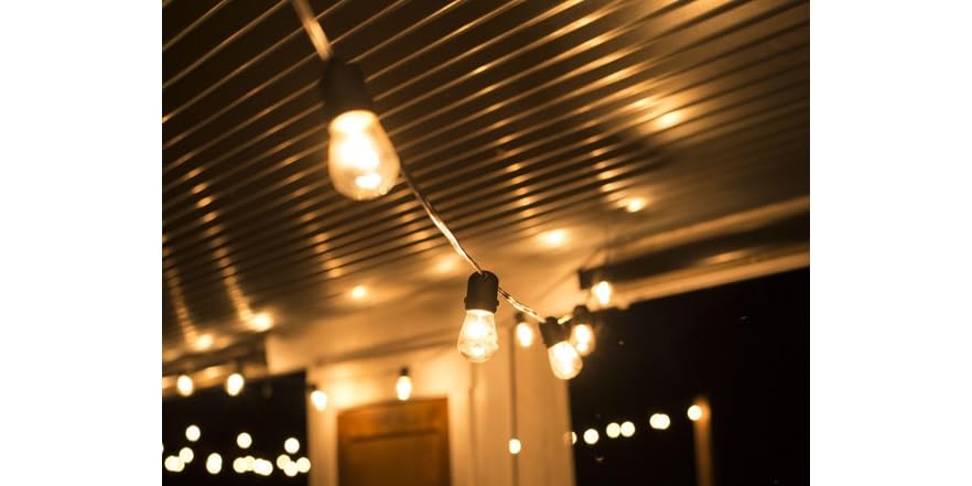 48-Ft Commercial Grade String Lights