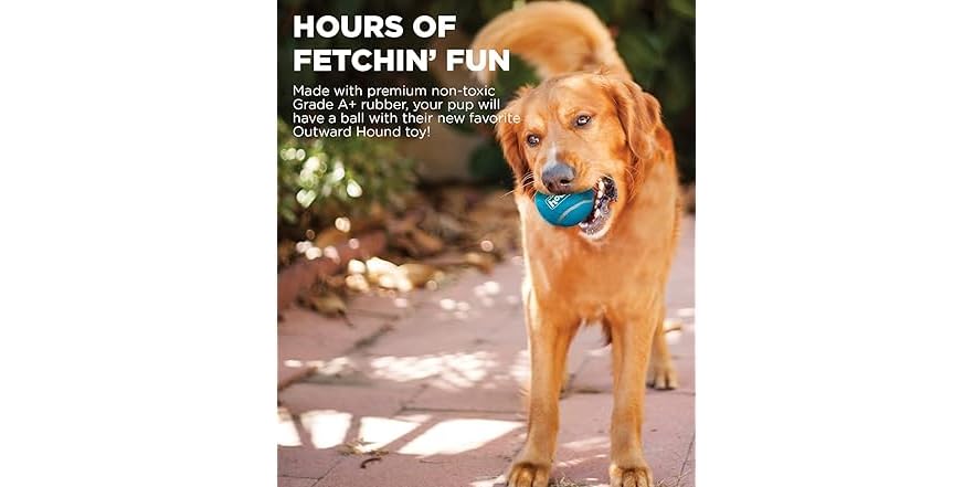 Outward Hound Tennis Ballz Fetch Dog Toy