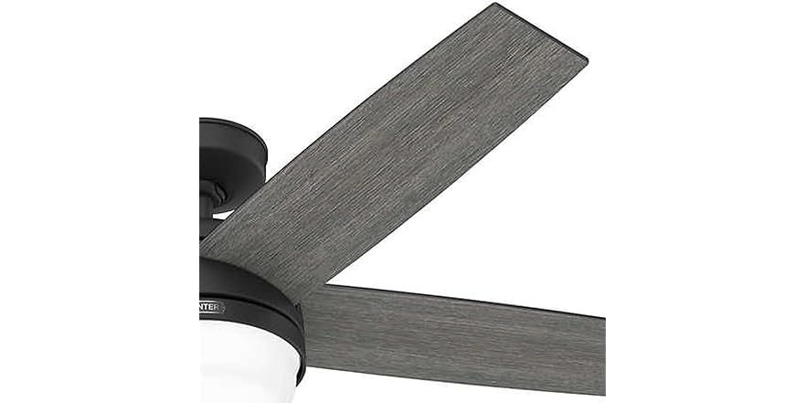 Hunter Fan 52" Reversible Blade Fan