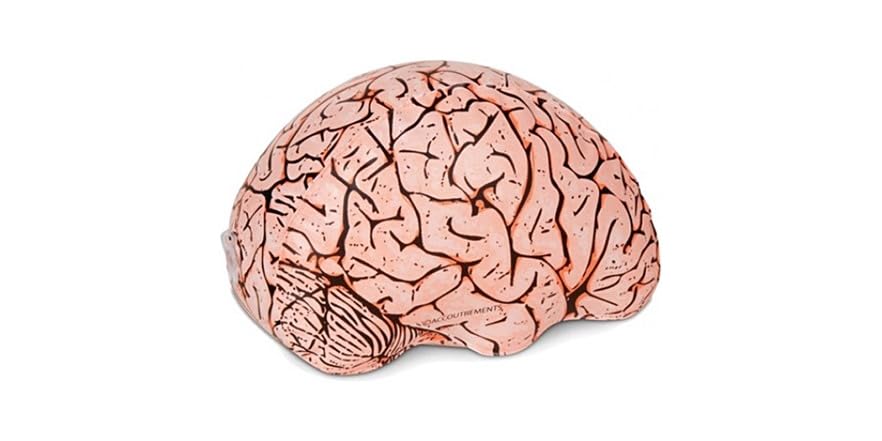 Emergency Inflatable Brain