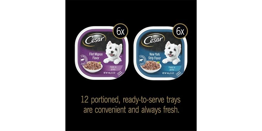 CESAR Adult Dog Filets in Gravy 12ct