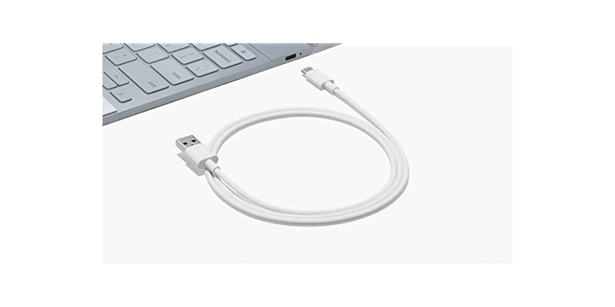 Google USB-C to USB-A 1M Cable