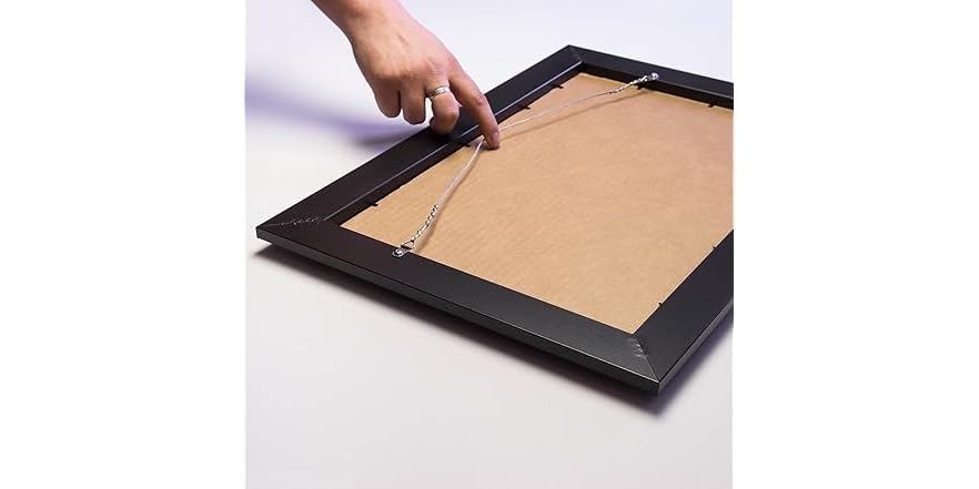 Craig Frames 1WB3BK 22 by 28" Picture Frame