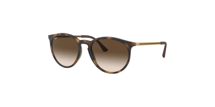 Ray-Ban Men's 4274 Round Sunglasses