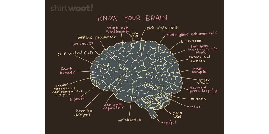 Know Your Brain