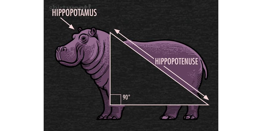 Hippo-potenuse