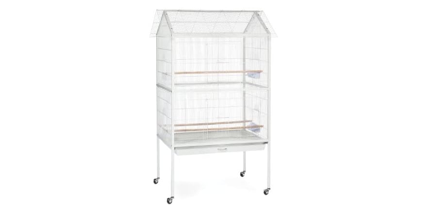 Aviary Flight Cage