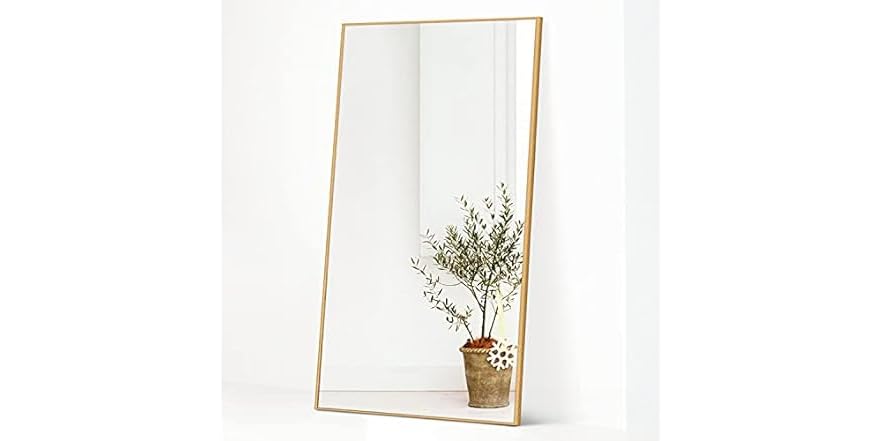 NeuType Full Length Mirror 51"x32" Large