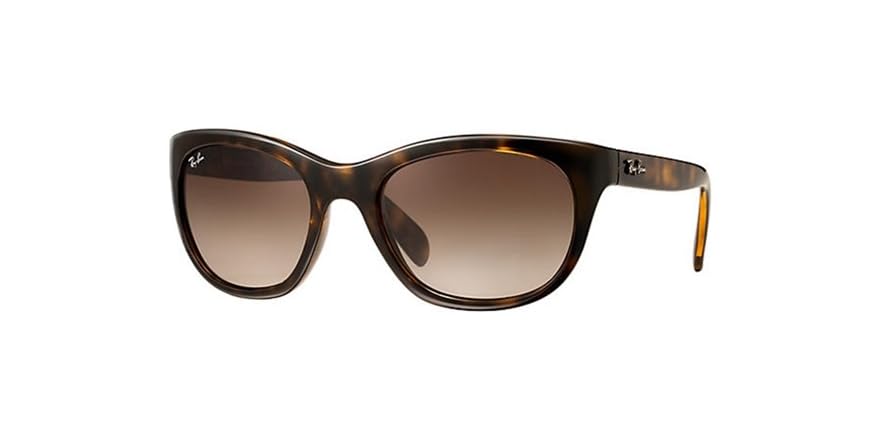 Ray-Ban Unisex Highstreet 4216 Sunglasses