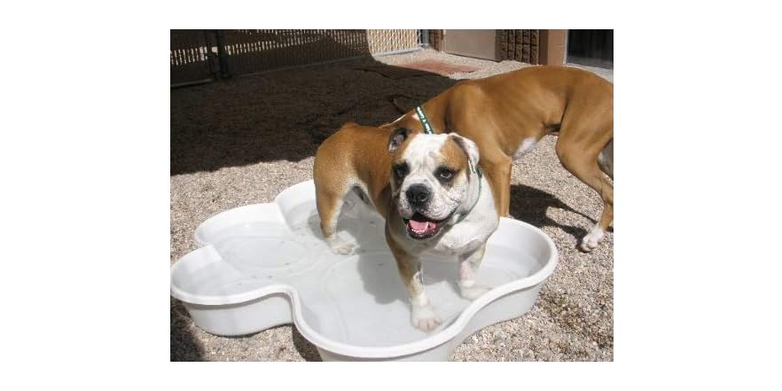 One Dog One Bone Paw Shaped Dog Pool