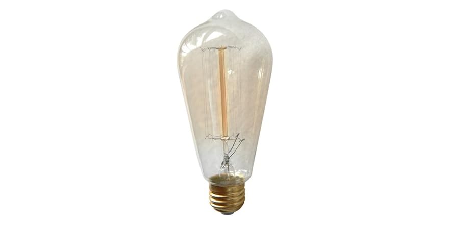 Vintage Edison Bulbs 40W or 60W - Your Choice
