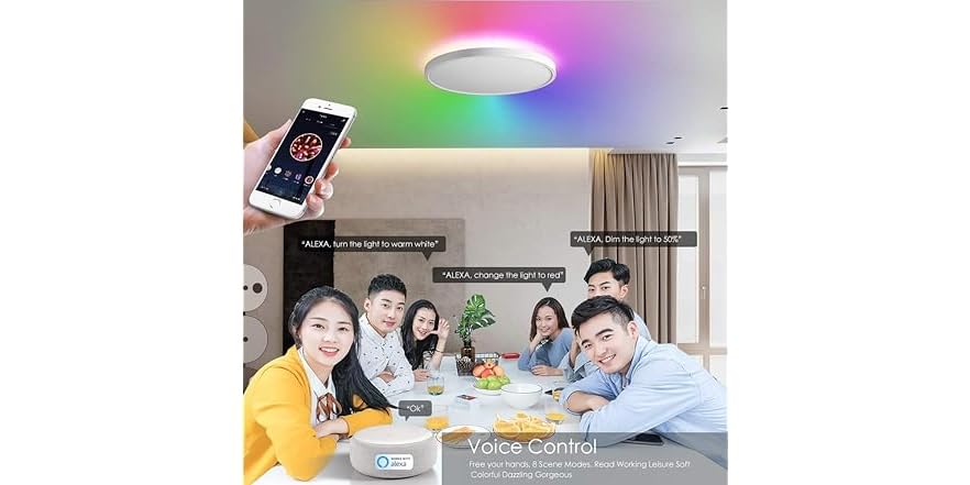 TALOYA Smart Ceiling Light Fixture