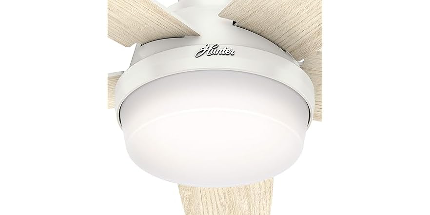 Hunter 48" Fan wLight Kit and Remote