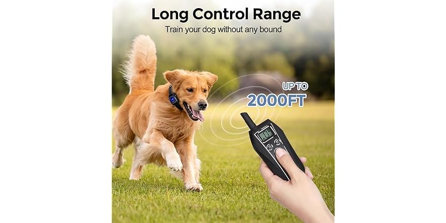 brapezie Dog Shock Collar