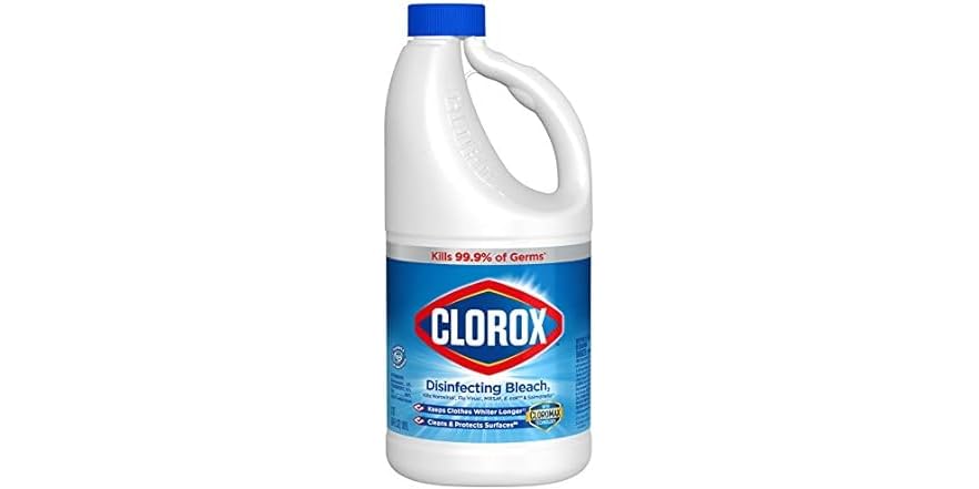 Clorox Disinfecting Bleach
