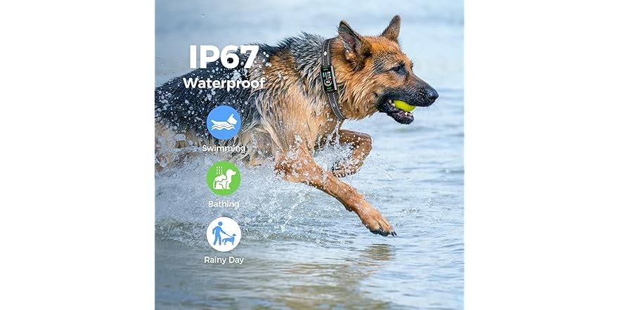 Greemoor Anti-Bark Collar