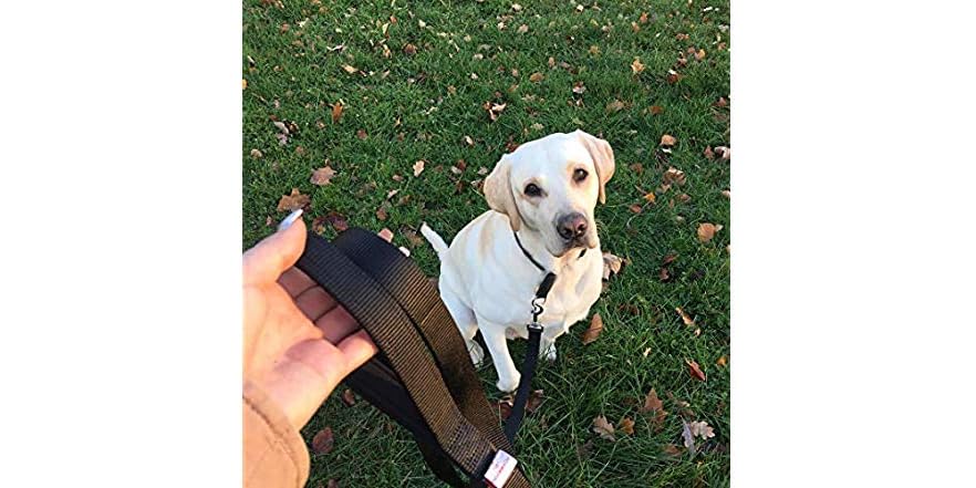 Dutchy Brand Pets Lovers Club Dog Leash