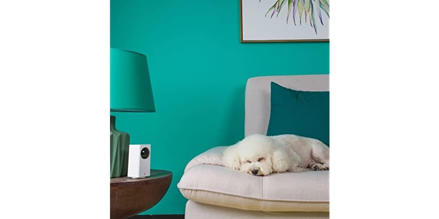 Wyze Cam Pan V1 (Open Box)