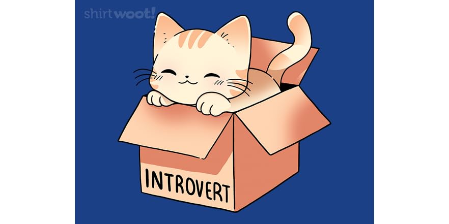 Introvert Box