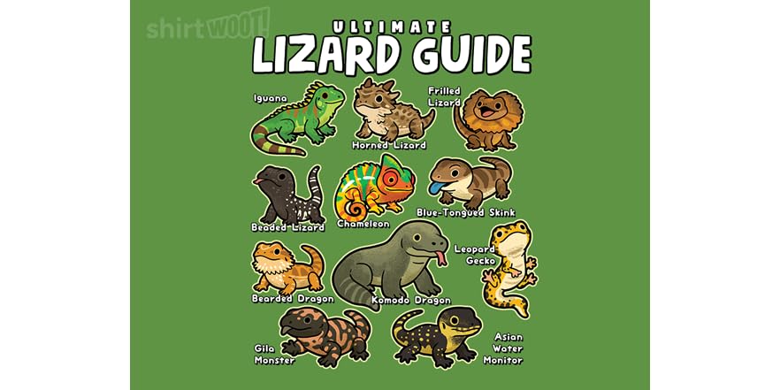 Ultimate Lizard Guide