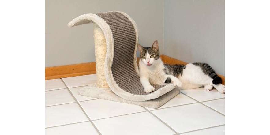 Iconic Pet Scratch and Slide Wave Scratcher with Sisal Post