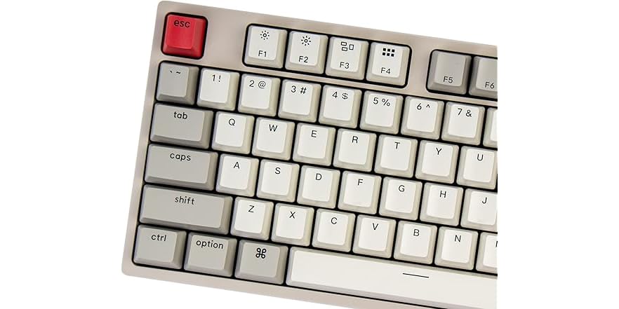 Keychron C2 Full Size Wired Mechanical Keyboard