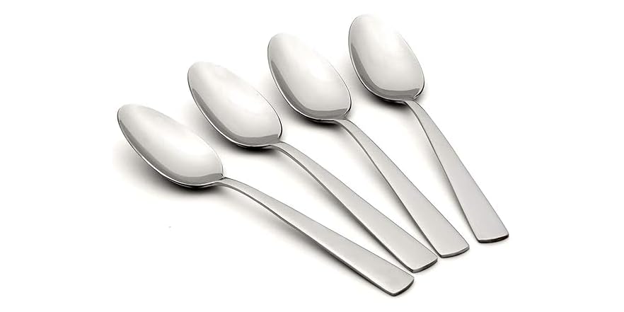 Oneida 20pc Satin Nocha Flatware Set