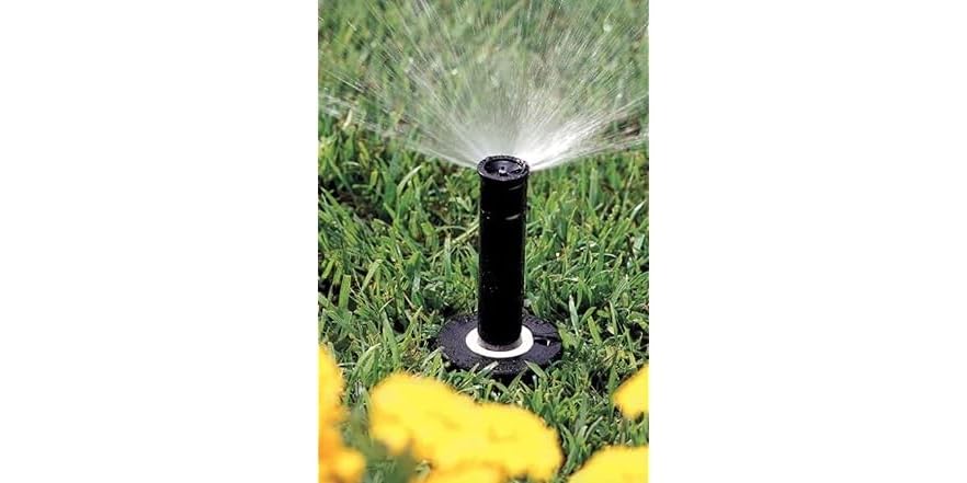 Rain Bird Dual Spray Sprinkle