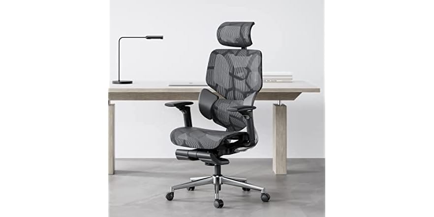 Hbada E3 Ergonomic Office Chair