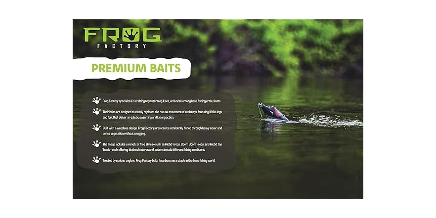 Frog Factory Boom Boom Frog