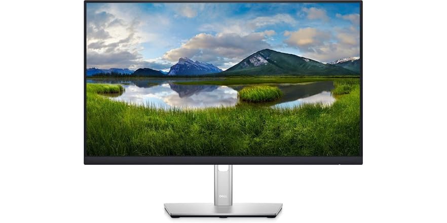Dell P2422HE Monitor