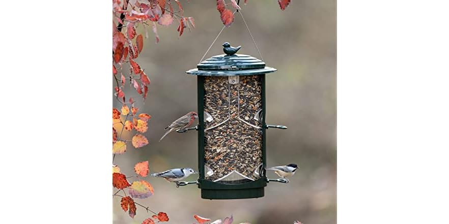 Squirrel-X Squirrel-X 111IN Bird Feeder, Black