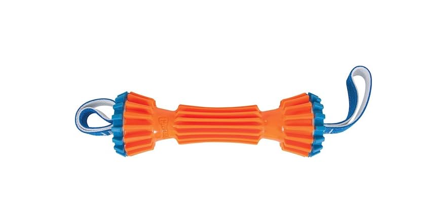 ChuckIt! Rugged Bumper Dog Toy, Medium