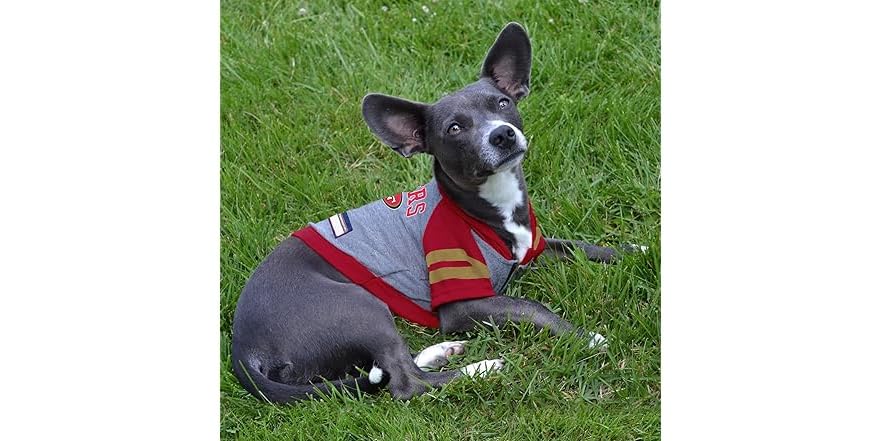 Pets First NFL 49ers Dog Hoodie