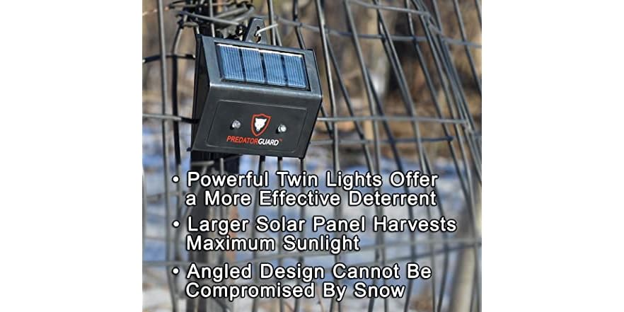Predator Deterrent Light