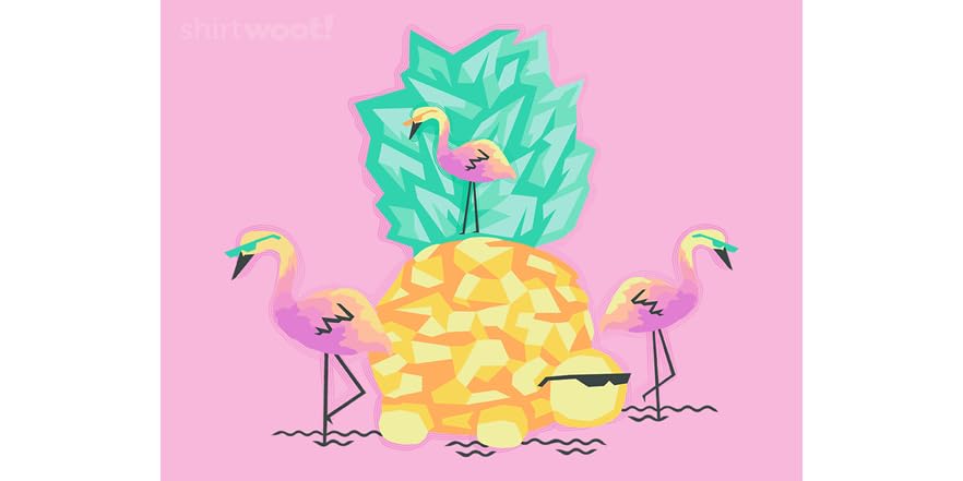 Pineapple Turtle & Friends