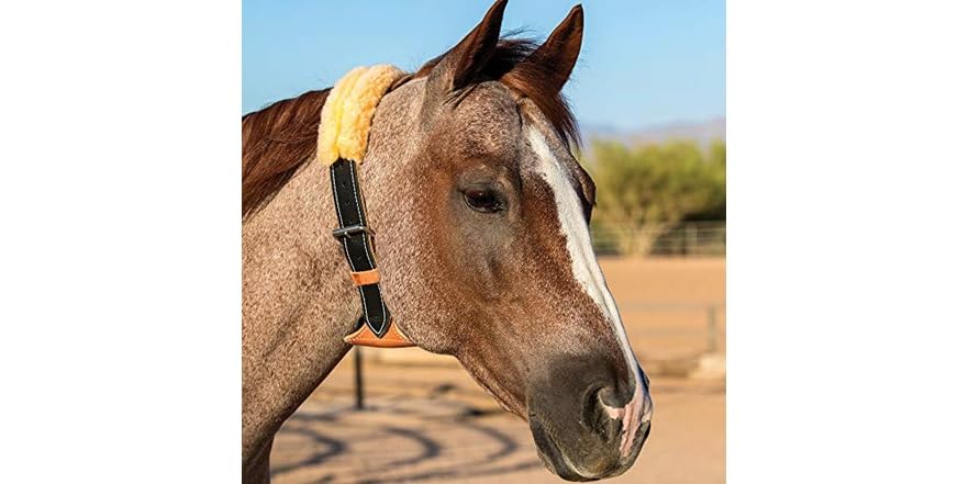 The Dare Cribbing Collar for Horses