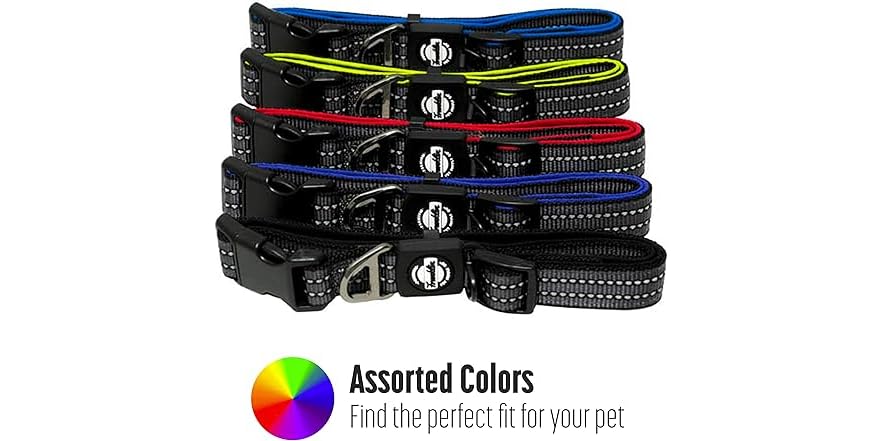Franklin Reflective Dog Collar