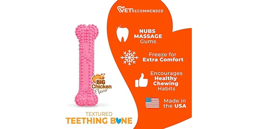 Nylabone Textured Teething Bone Puppy Chew Toy