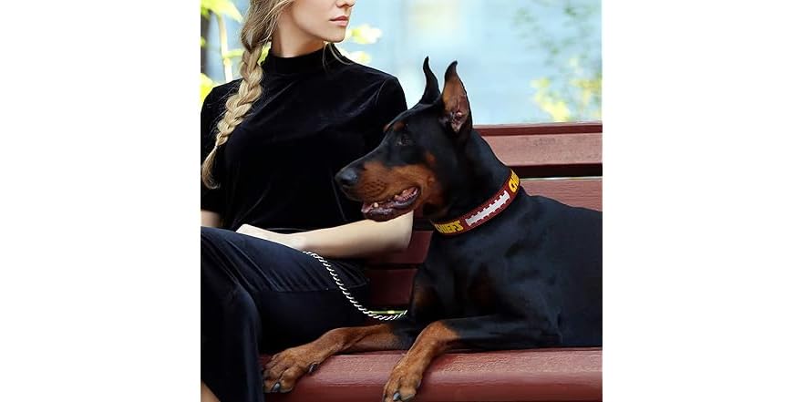 CHIEFS Dog Collar (S)