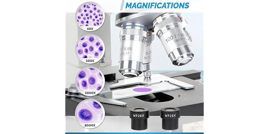 AmScope OMAX 40X-2000X Lab LED Binocular Compound Microscope