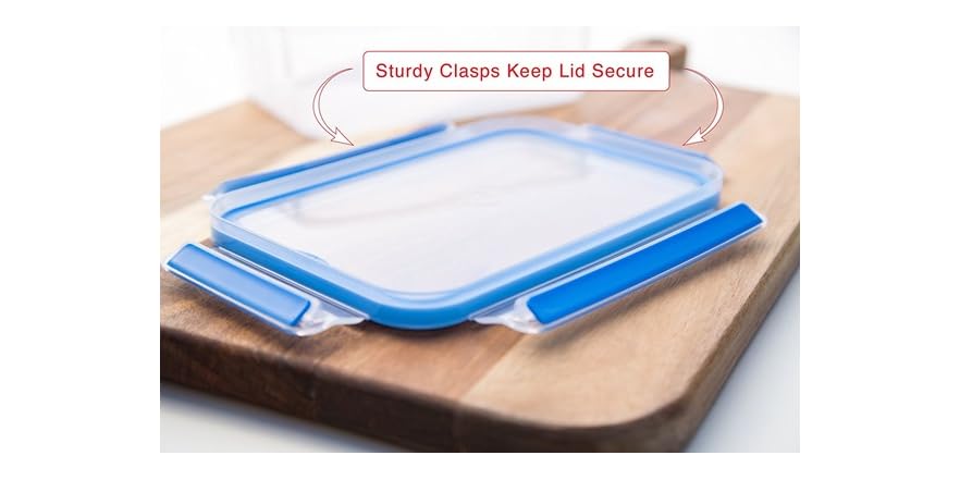 Zyliss "Fresh" Food Storage Container with Snap Locking Lid, 100% Leak ...