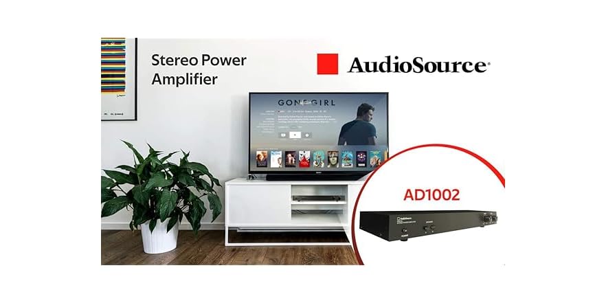 Audiosource AUDIOSOURCE AD1002 2 AudioSource Digital A