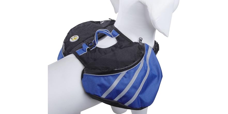 Everest Dupont Backpack - Blue