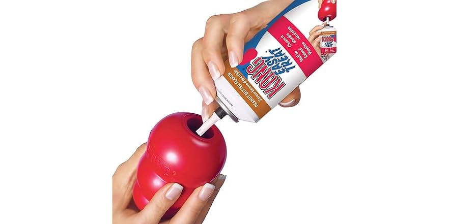 KONG Classic Stuffable Dog Toy