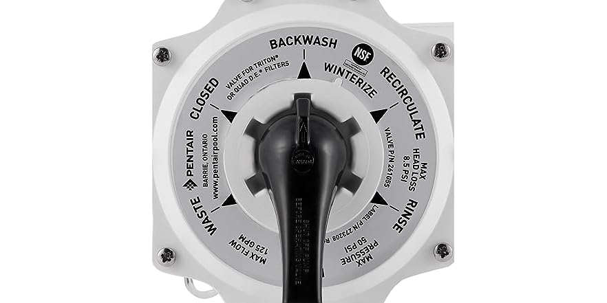 Pentair 261055 Multiport Valve for Triton and Quad D.E. Filters