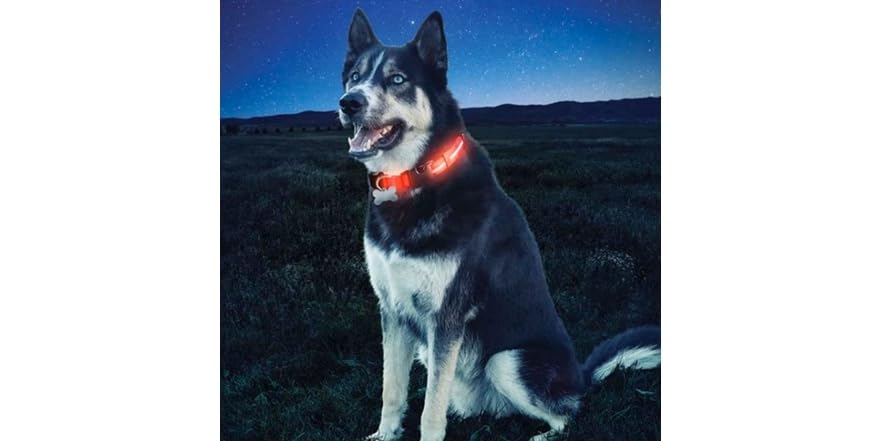 LED Dog Collar