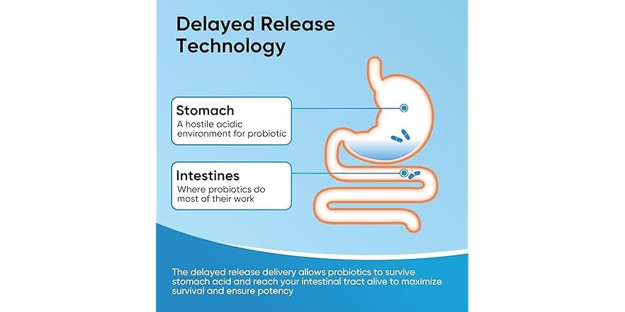Probiotics, 500 Billion CFU, 90 Capsules
